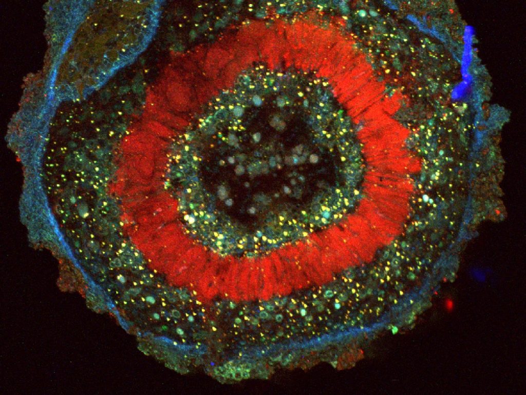 News – Villarreal Lab